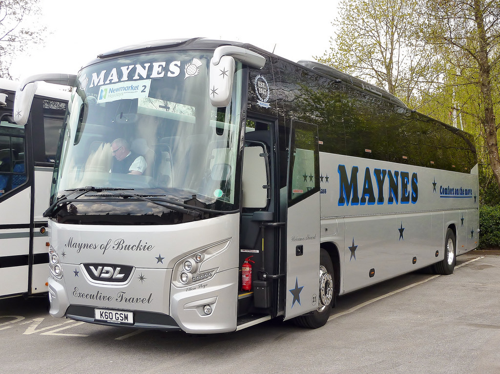 Maynes Coaches | Coachmarque